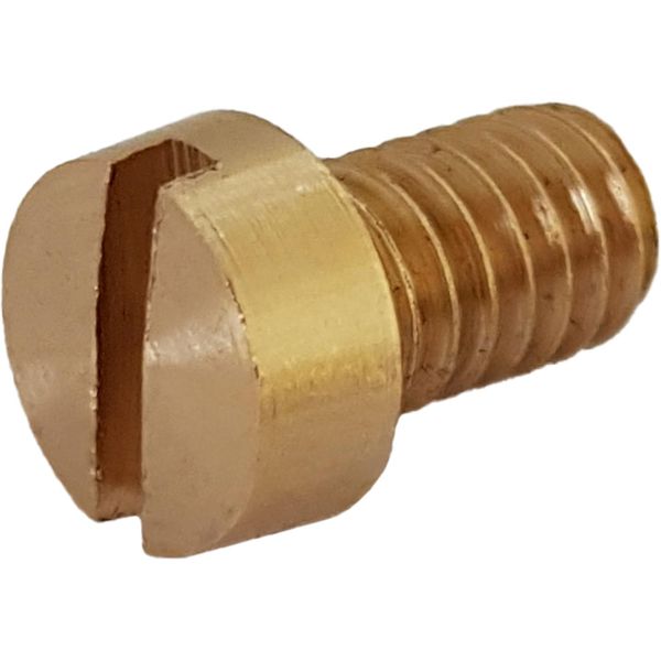 JOHNSON Comb Screw M5 X 10 Brass (0.0279.035)